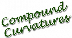 Replica Body Component Manufacturer - Compound Curvatures